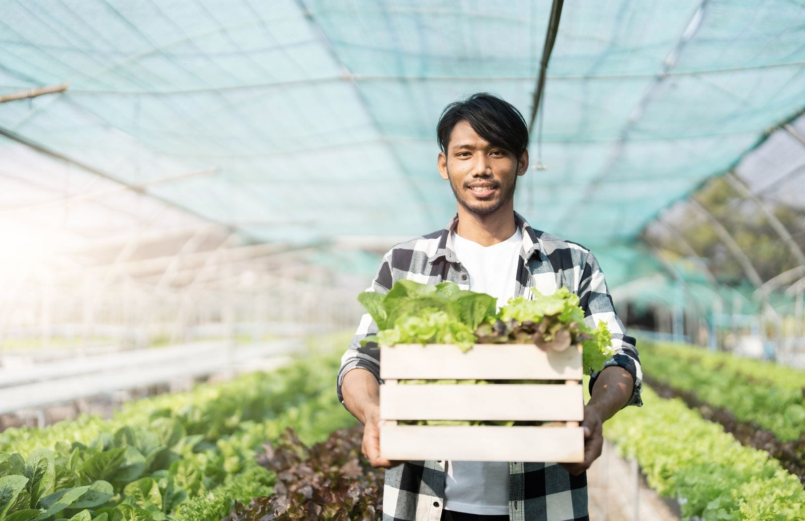 About Us - Meet Our Gardening Experts | Aggressively Organic